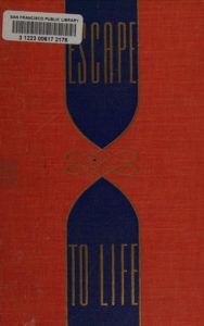 Blog | New Escapologist