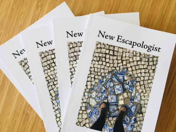 Blog | New Escapologist